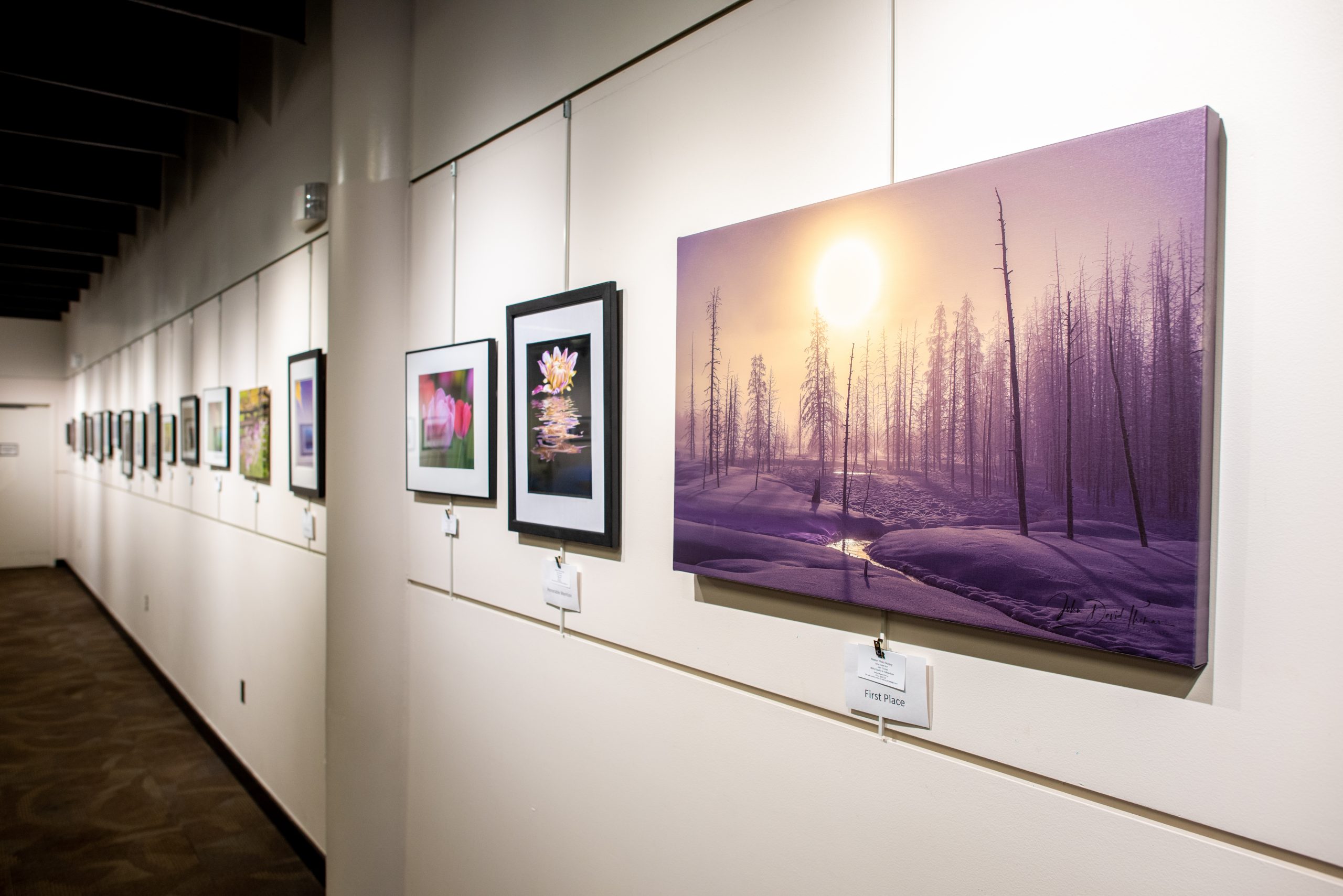 Visit the Jo Ann Rose Gallery - RCC